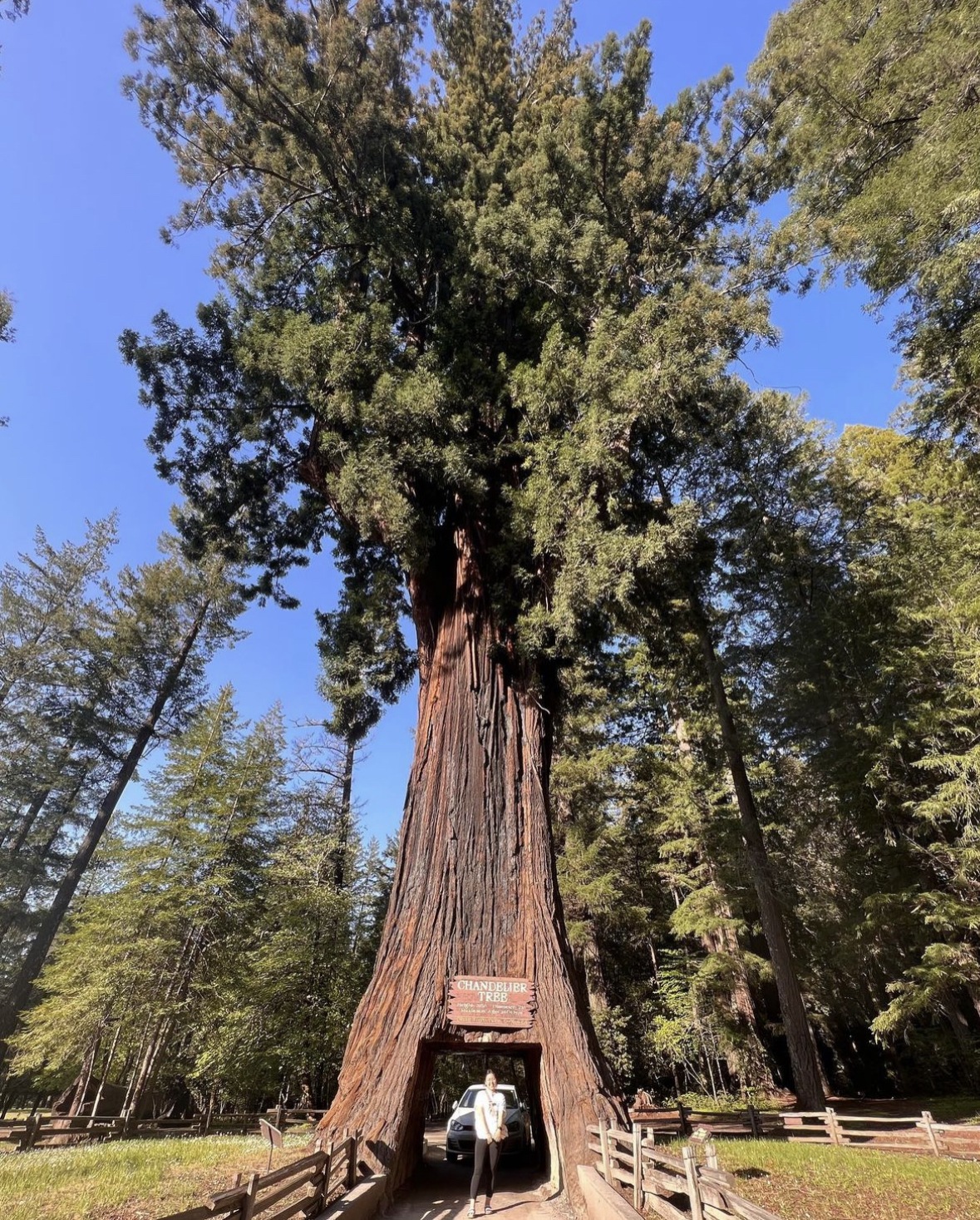 Mendocino County Bucket List - Visit Mendocino County