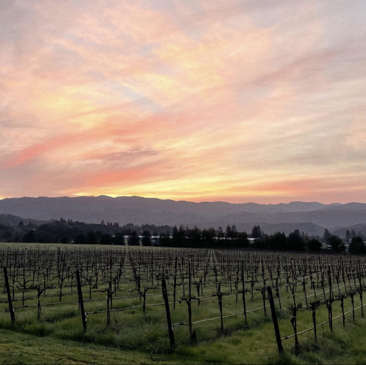 7 Must-Visit Wineries in Mendocino County for Wine Lovers - Visit ...