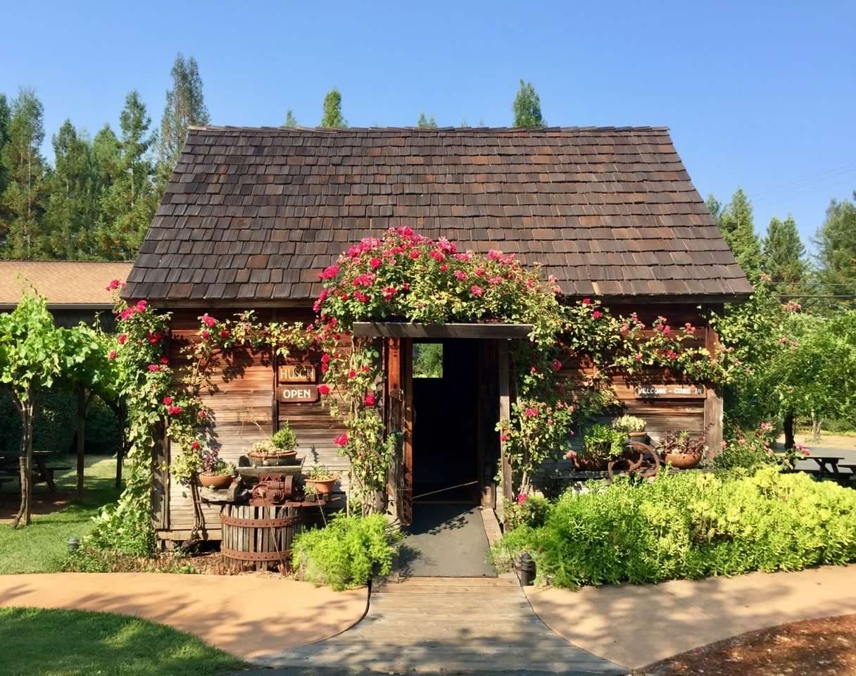 7 Must-Visit Wineries in Mendocino County for Wine Lovers - Visit ...