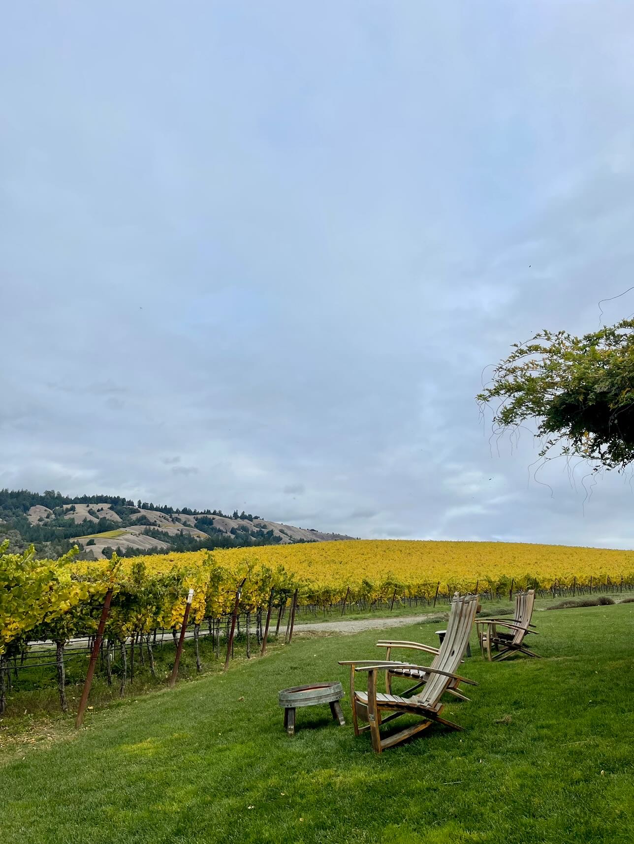7 Must-Visit Wineries in Mendocino County for Wine Lovers - Visit ...