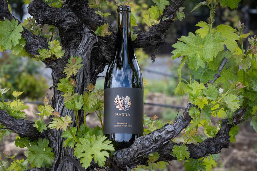 6 Wineries to Visit for an Authentic Mendocino County Wine Experience ...