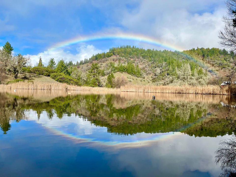 5 Quirky and Cool Stops in Mendocino County - Visit Mendocino County